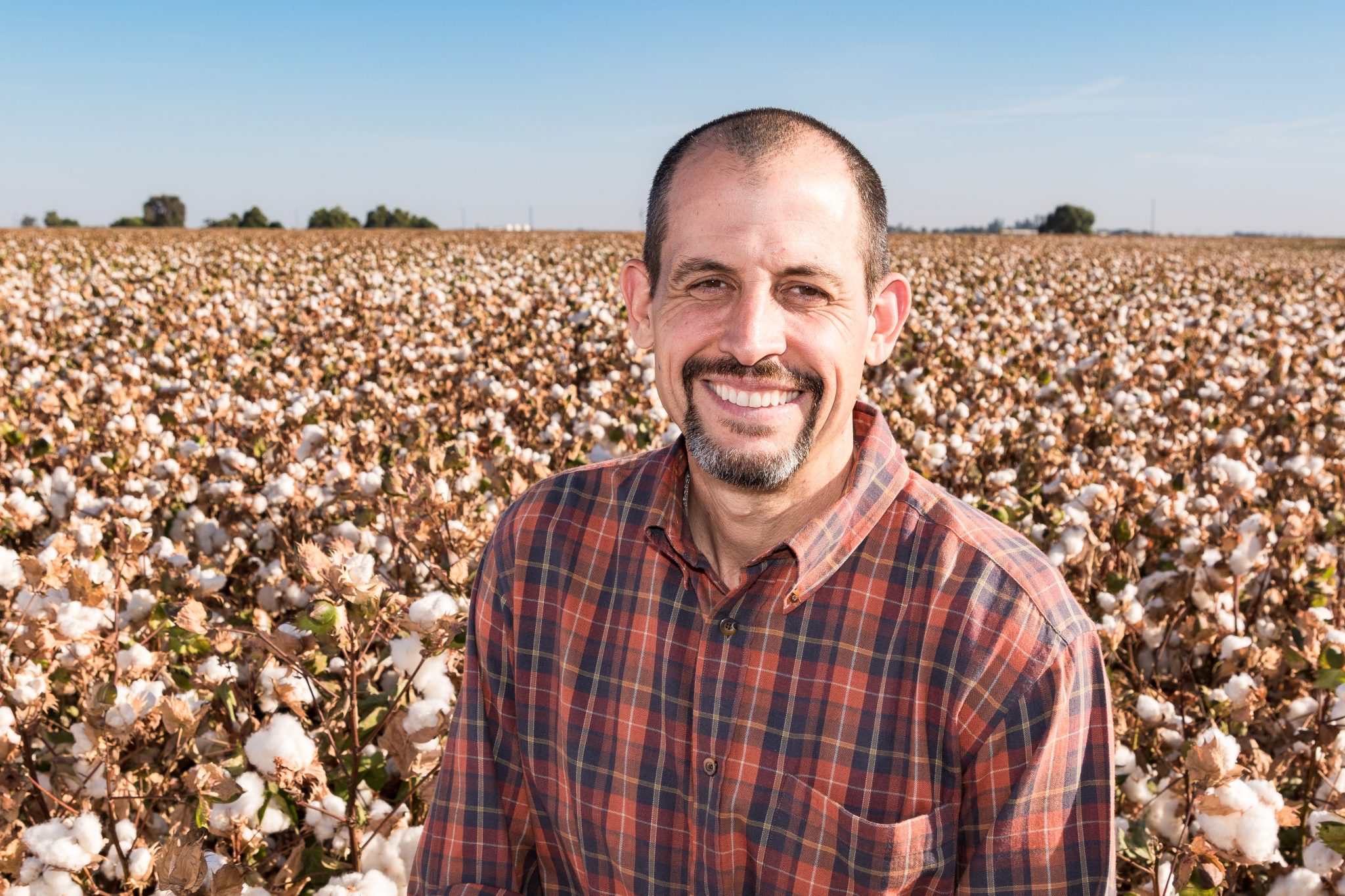 Farm to fabric: J. Crew commits to certified regenerative cotton | The ...