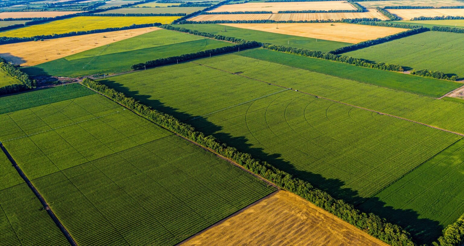 The New Money in Regenerative Agriculture: What Smallholder Farmers ...