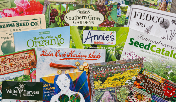 Revisiting Fedco Seeds’ Decision to Drop Monsanto, 20 Years Later | The ...